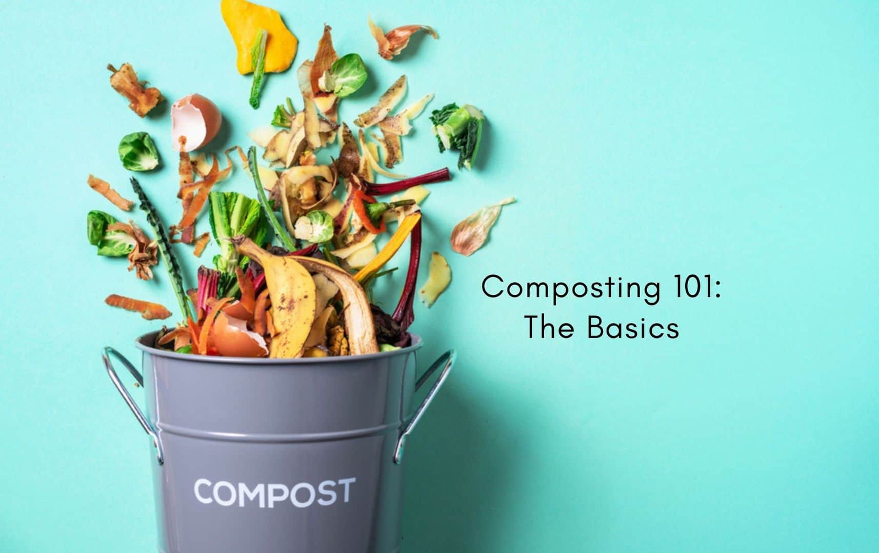 composting 101: know the basics - marlo hydroponic skincare