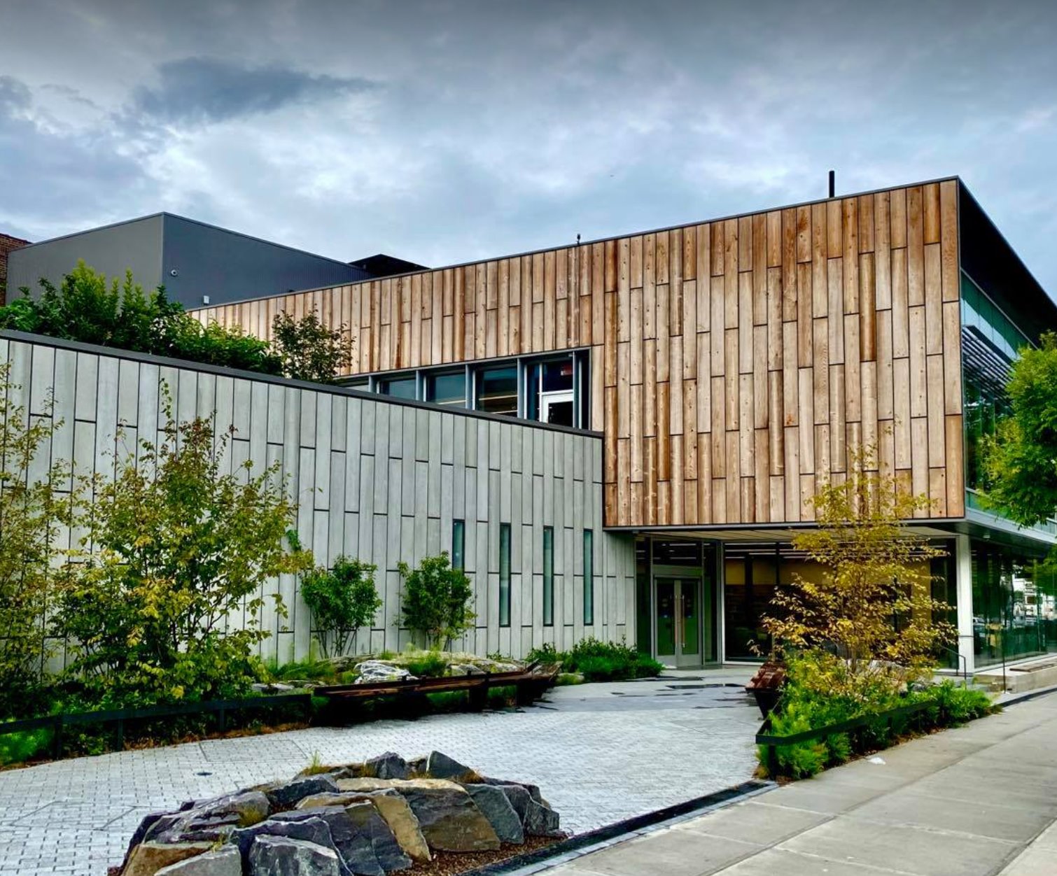 spotlight: brooklyn's green greenpoint library - marlo hydroponic skincare