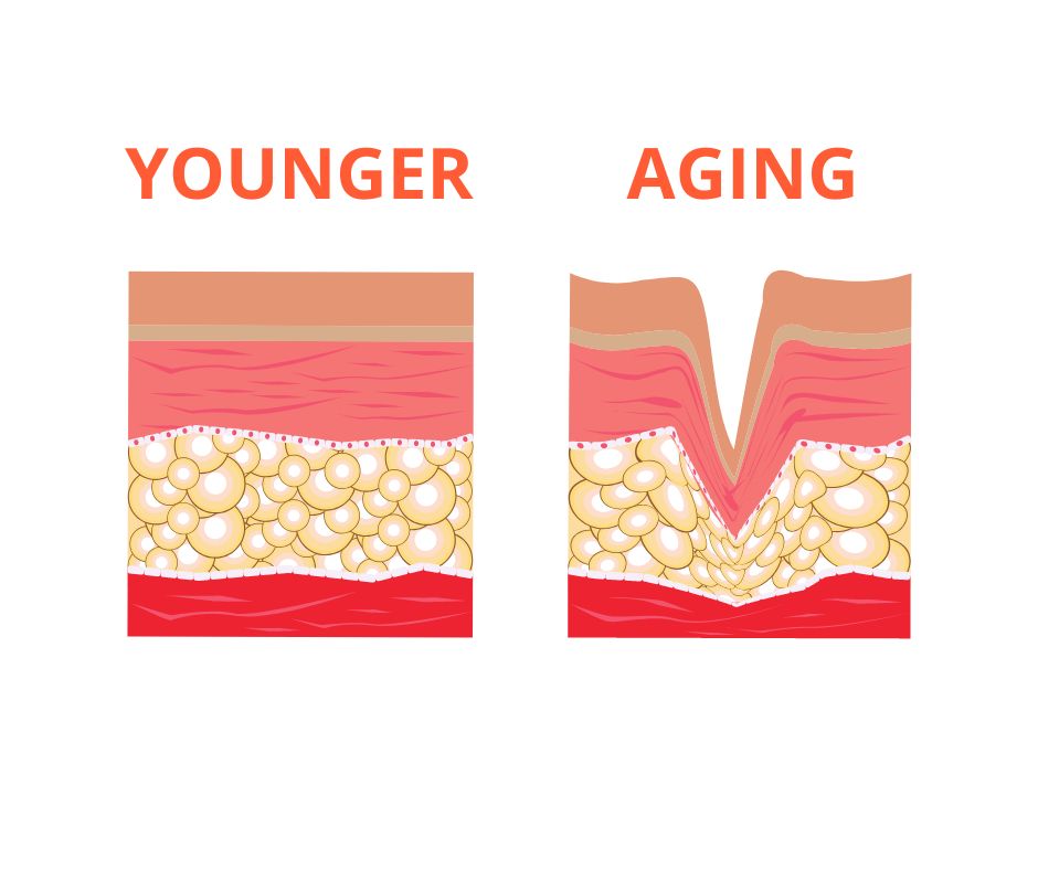 the importance of collagen for skin care and how to preserve it - marlo ...